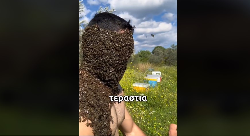 Απίστευτος ο μελισσοκόμος από το Αγρίνιο : Το βίντεο με τις χιλιάδες ...